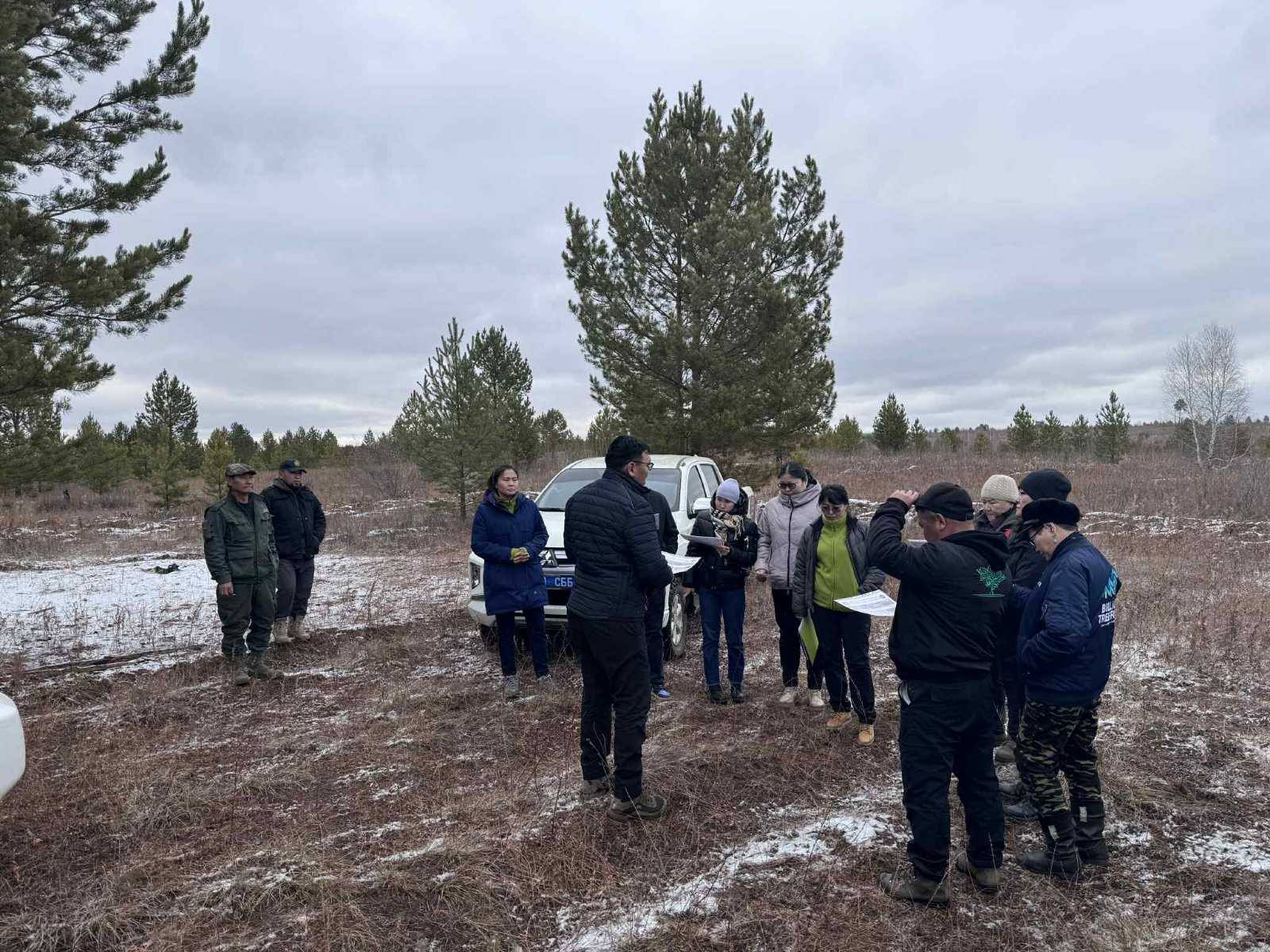 Btf - Тэрбум мод - Billion Tree Fund is Enriching the Forest of Selenge ...